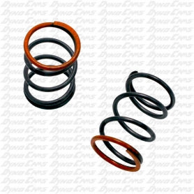 Tuck and Run Valve Spring- Clone Pair – Laukaitis Racing Inc.